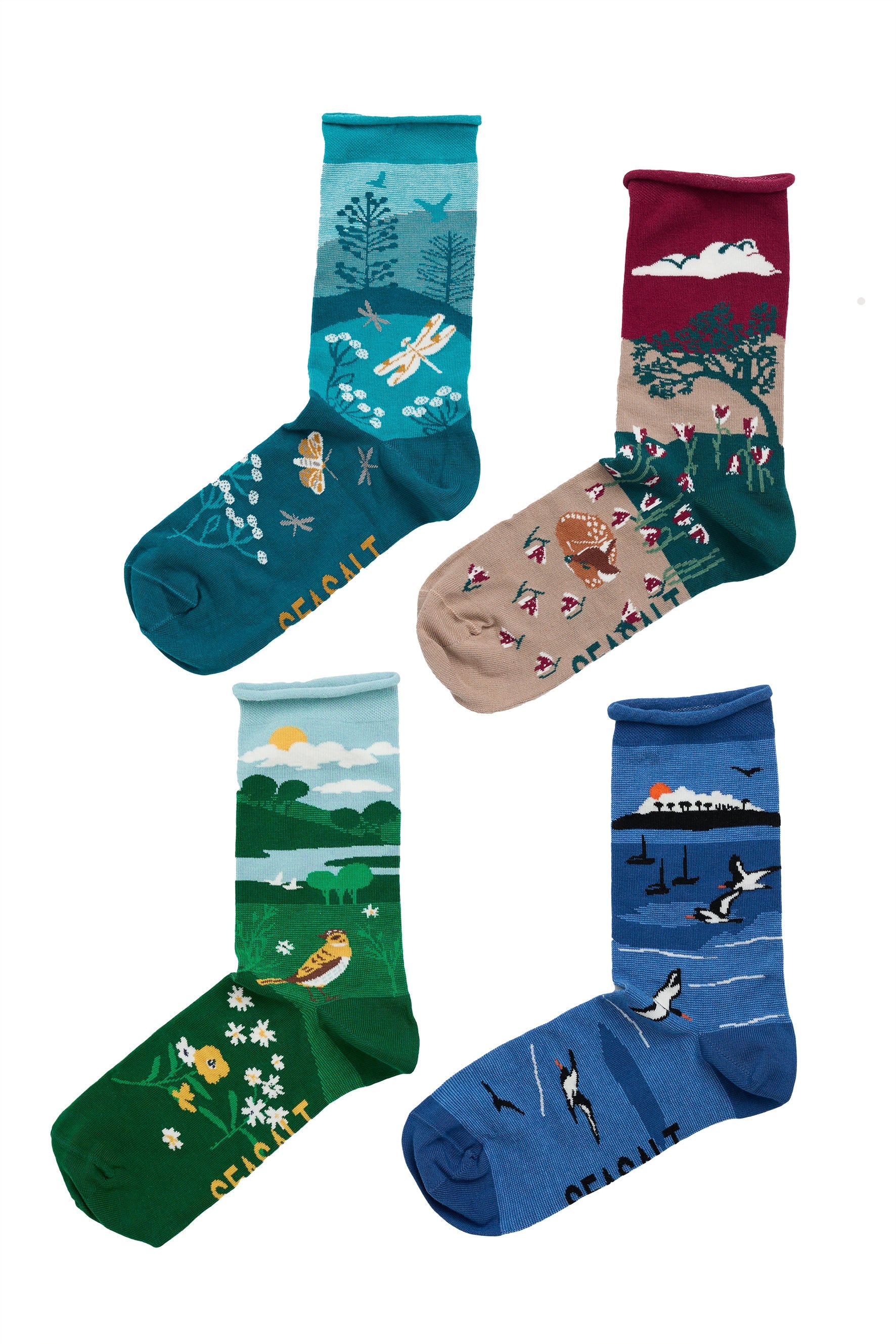 Seasalt Organic Cotton Arty Socks Box of 4 Gift Box - Signpost Mix ...